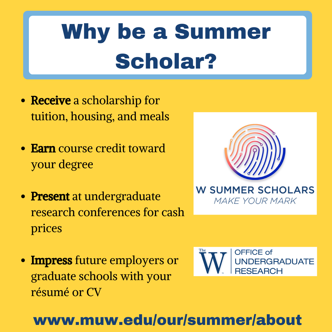 2024 Summer Scholars – Office of Undergraduate Research